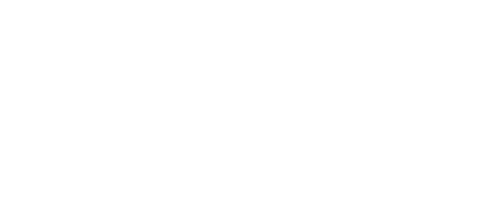 Meet the Team - Roanoke